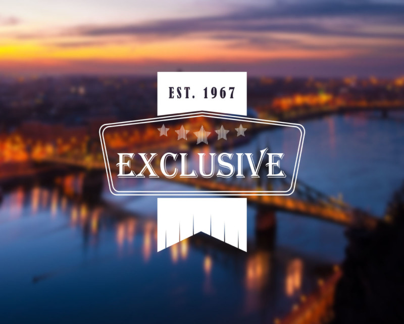 Exclusive Badge Vector - Mockup Templates Images Vectors Fonts Design