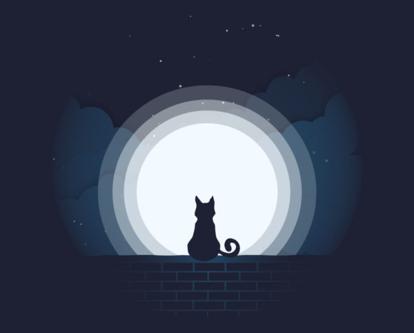 Moon Cat Vector - Mockup Templates Images Vectors Fonts Design